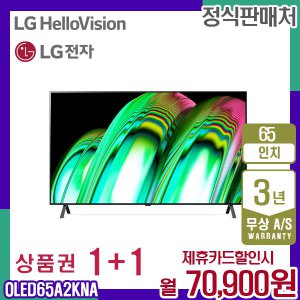 oled65a2 : 다나와 통합검색